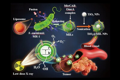 NCKU Nanomedicine Milestone Research On Coated Bacteria To Suppress ...